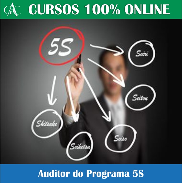 CURSO Auditor do Programa 5S, 100% ONLINE
